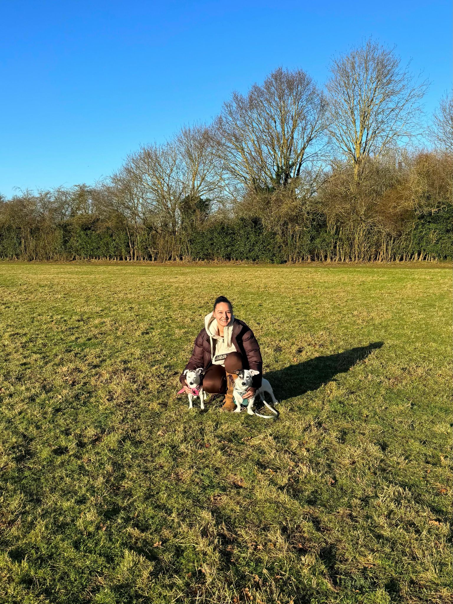 Helping Hounds – by donating monthly to local rescues